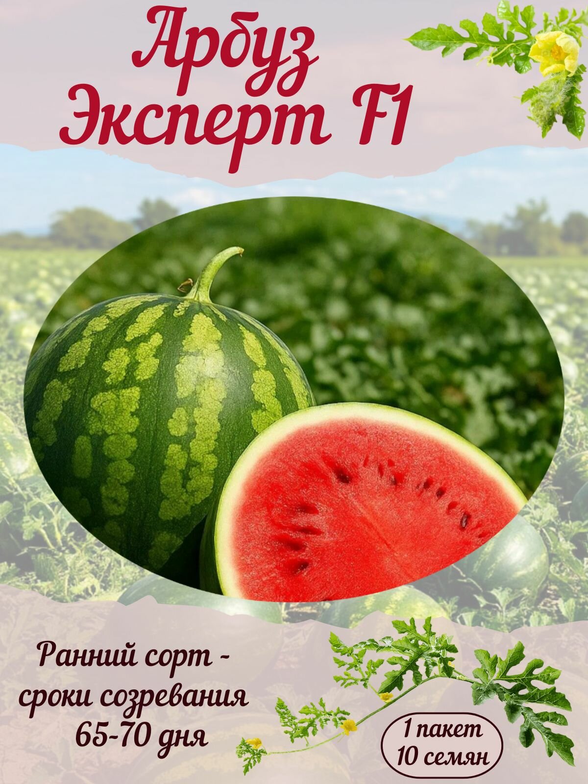 Арбуз Эксперт F1, семена, 10 шт, 15 гр.