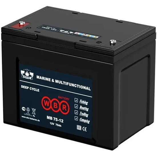 Аккумуляторная батарея для ИБП Wbr MB75-12