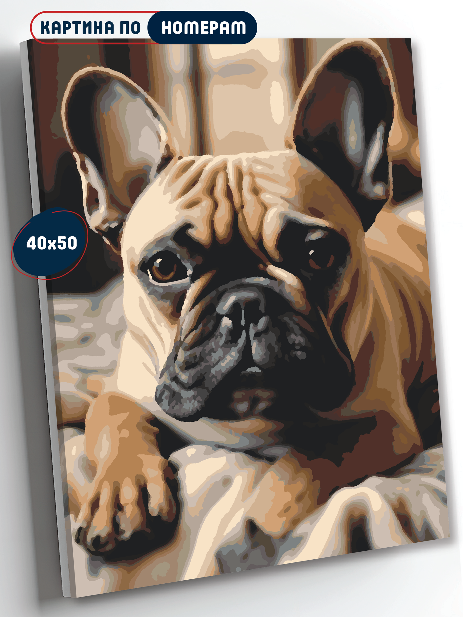 Картина по номерам "Французский бульдог", Холст на подрамнике 40х50, набор для рисования, с животными