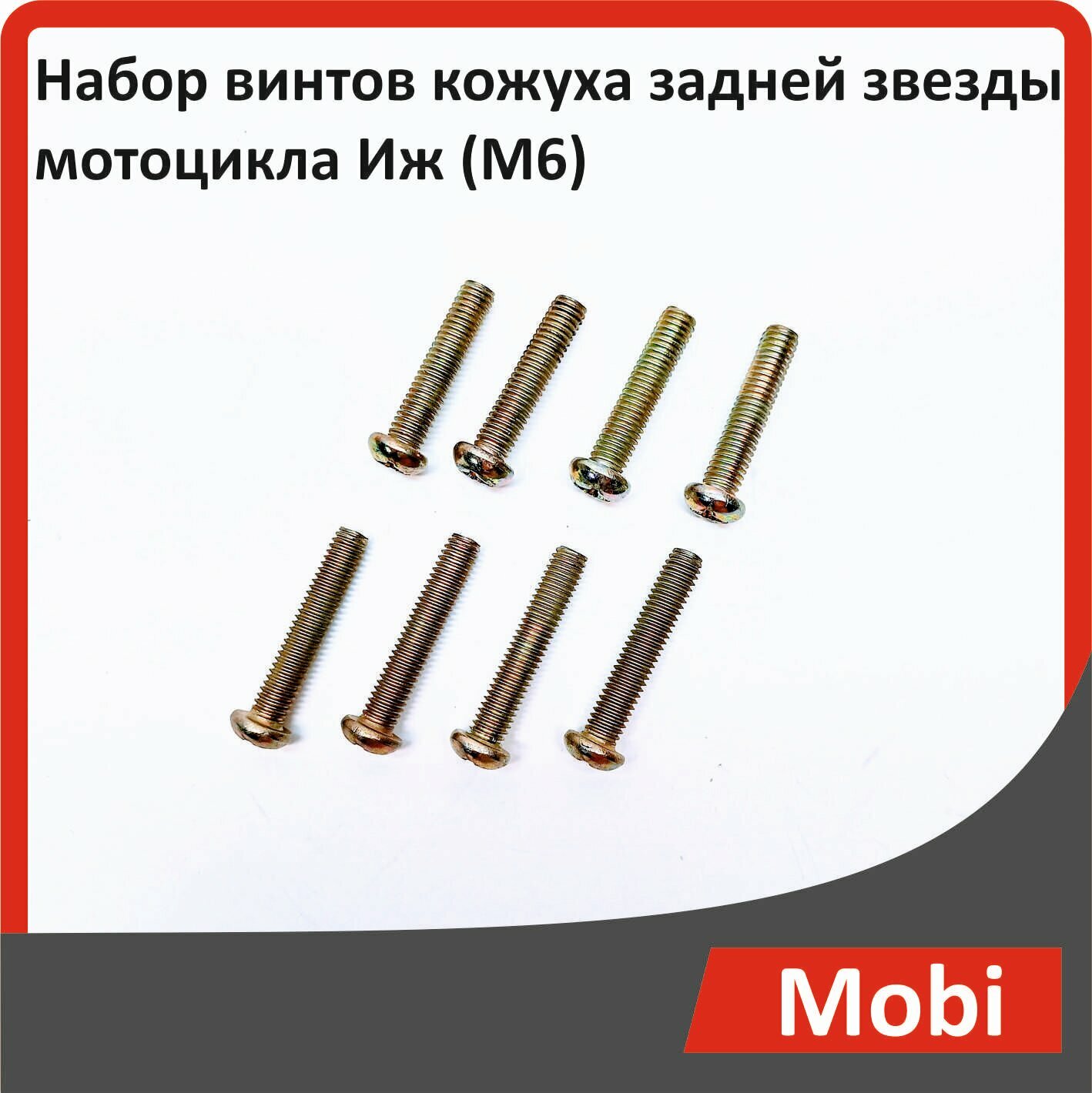 Набор винтов кожуха задней звезды мотоцикла Иж (М6)