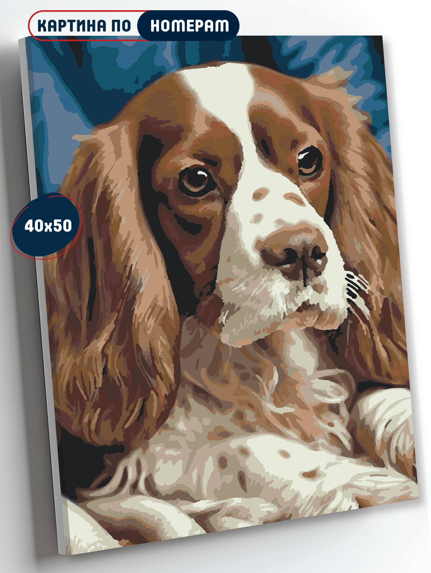 Картина по номерам "Спаниель", Холст на подрамнике 40х50, набор для рисования, с животными