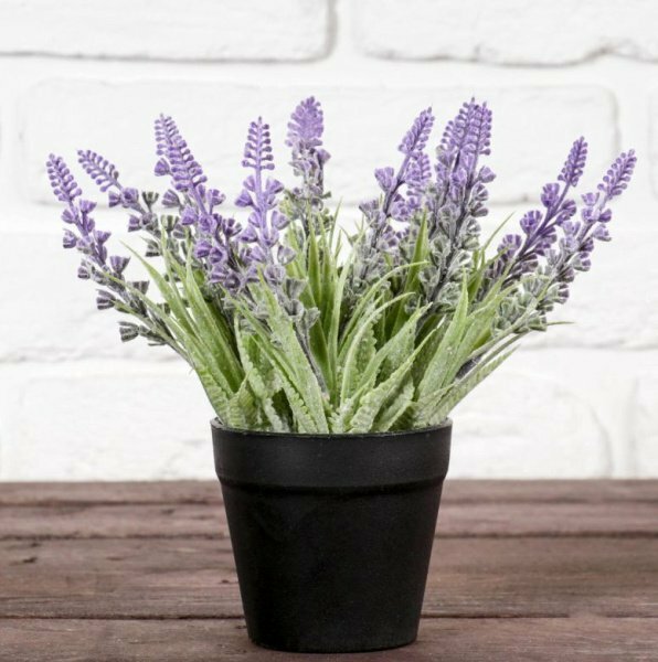 Бонсай в горшке "Лаванда с папоротником" 9x19см, микс 4560013