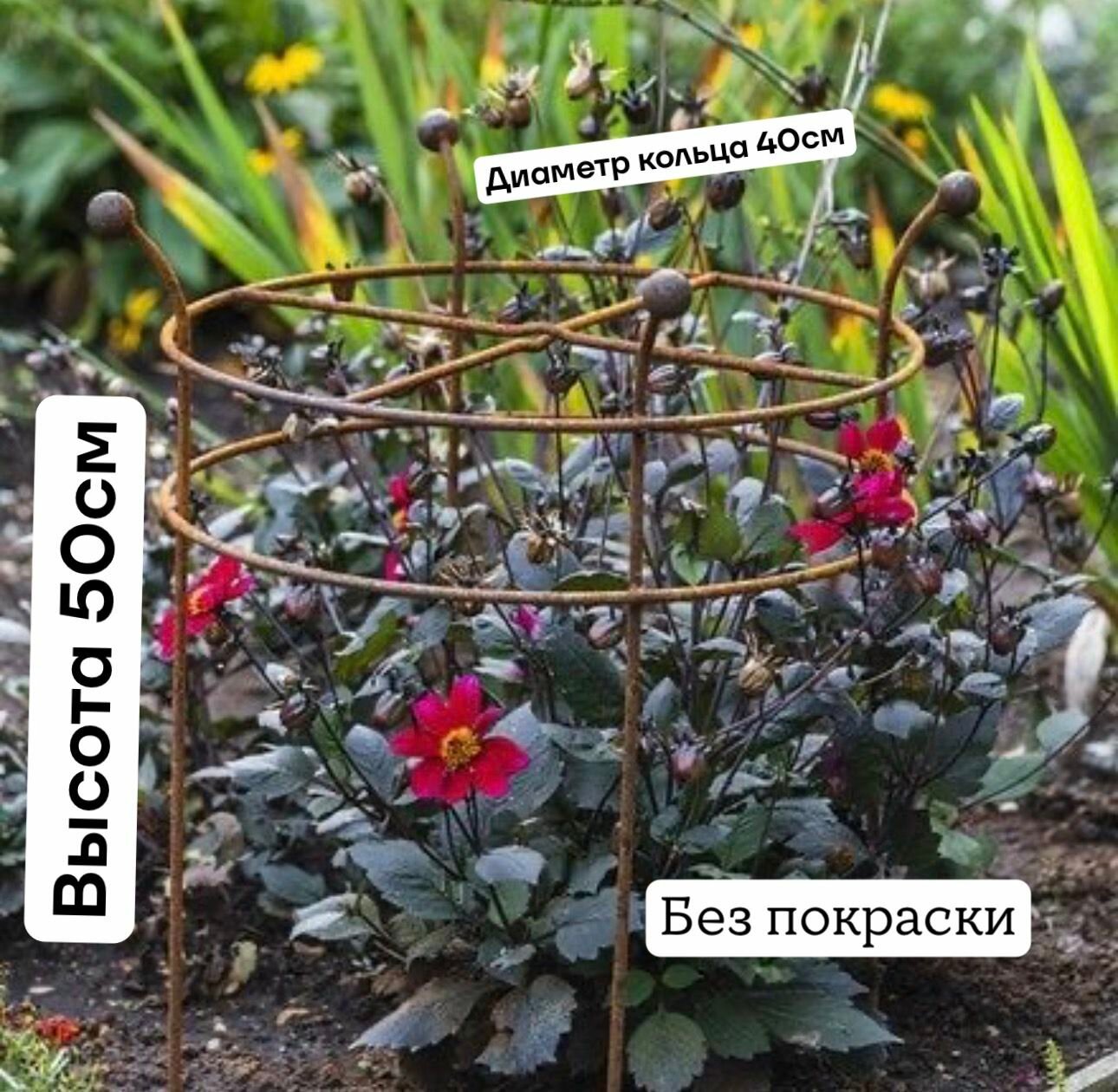 Опора для кустов растений и цветов без покраски