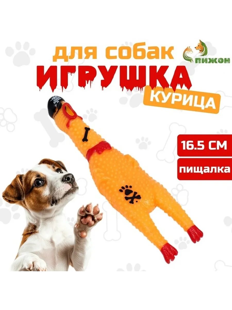 Пиратская курочка для активных собак