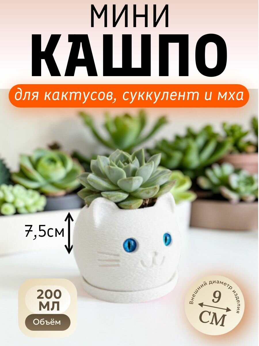 Кашпо мини - "Котик" для кактусов и суккулентов, объем 0,2 л