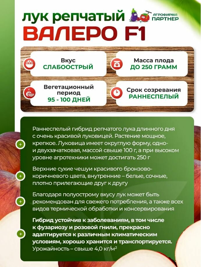Семена лука Валеро — фото 1