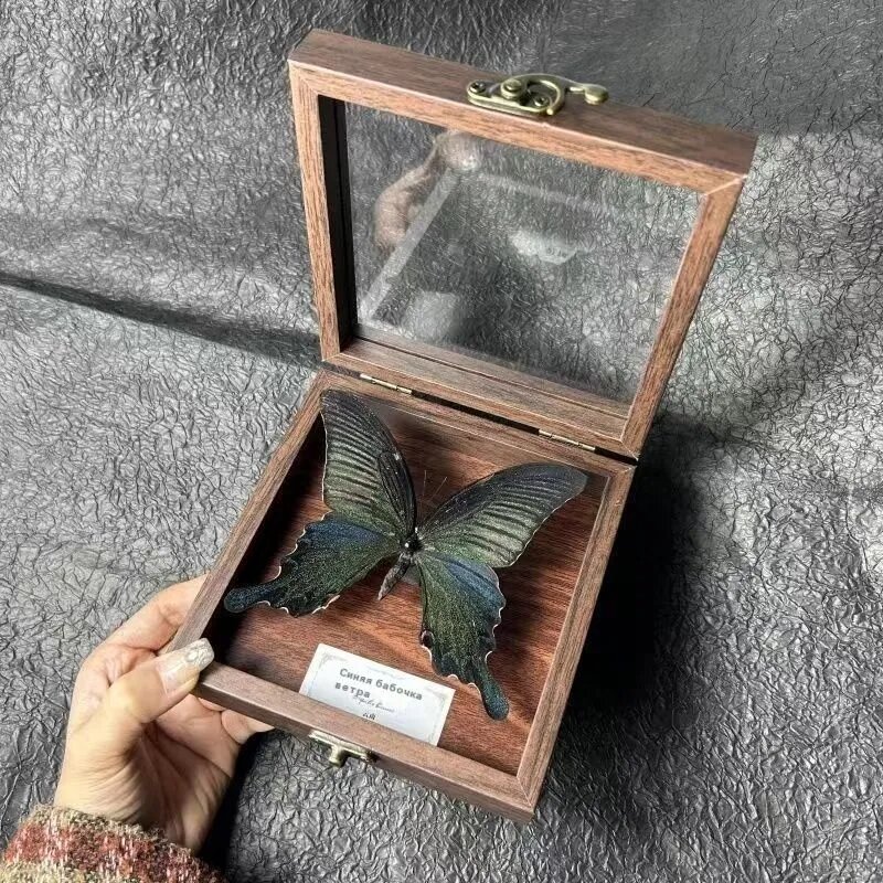 Бабочка в рамке под стеклом 3D, энтомологическая коллекция 1 шт, интерьерный декор для дома, офиса и кабинета
