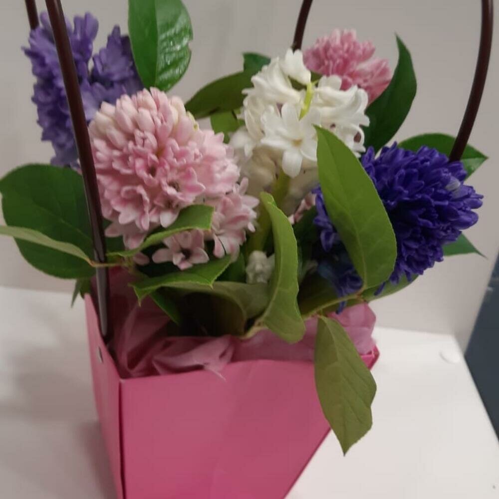 Гиацинты в коробке