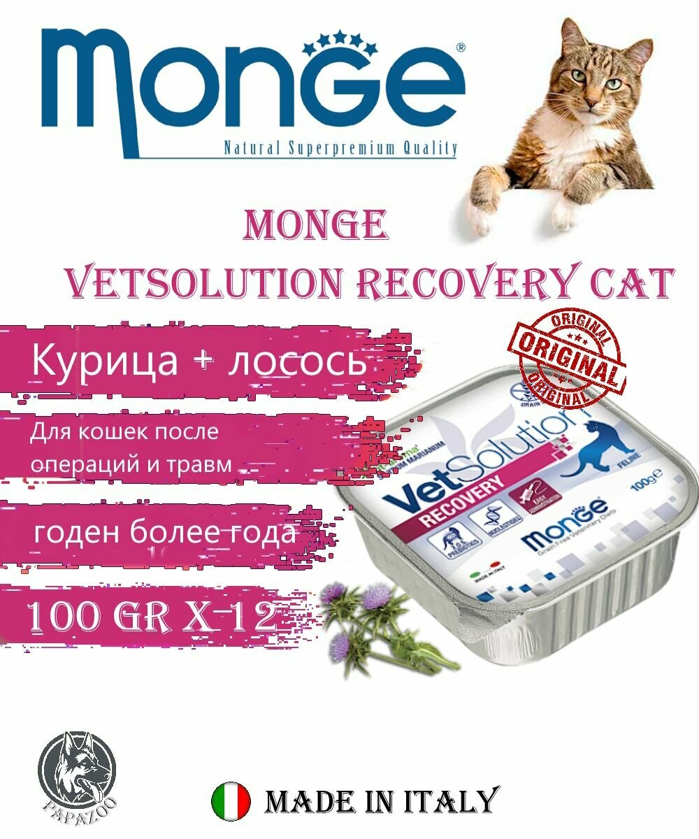 Monge Консервы VetSolution Recovery Cat (Курица, лосось) 12 шт