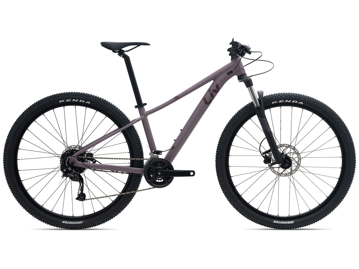 Горный велосипед GIANT Tempt 29 3 Фиолетовый M