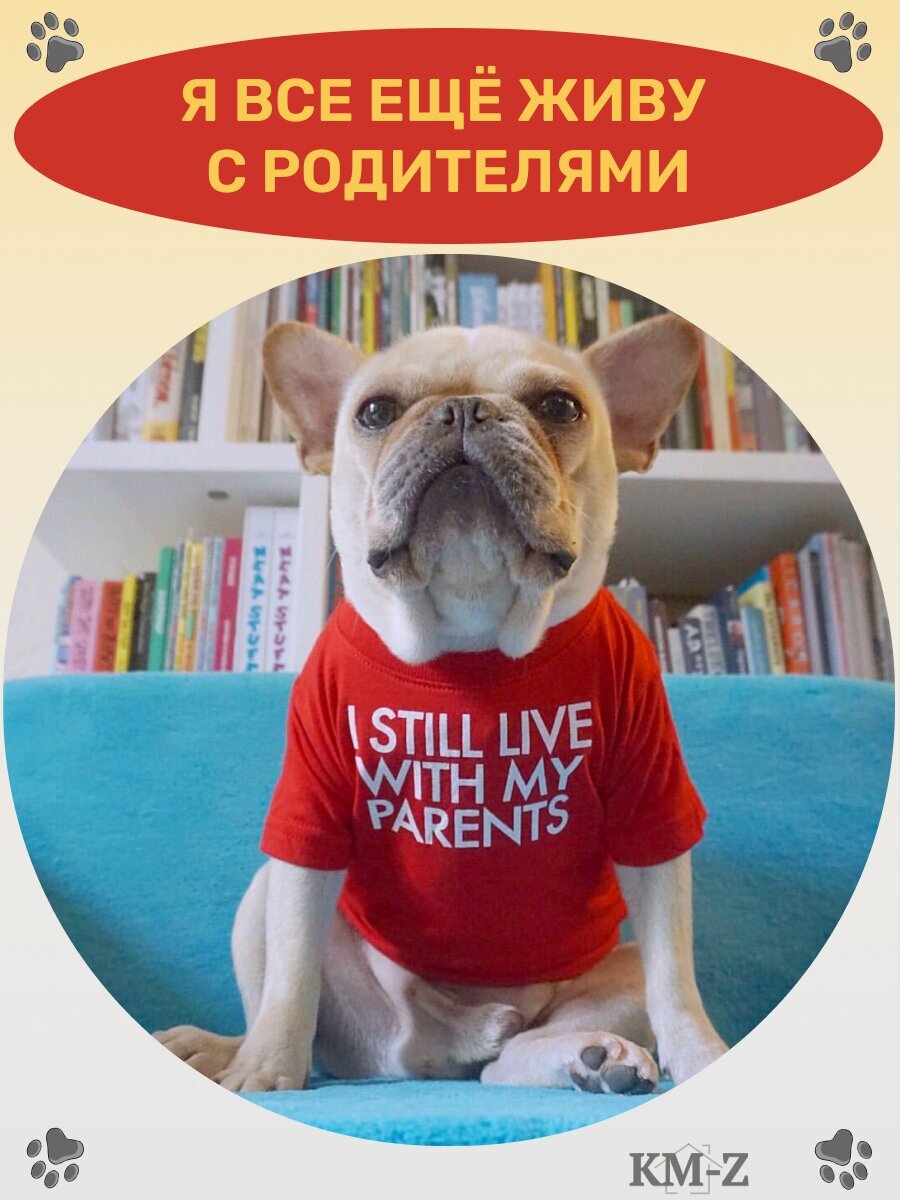 Футболка для собак мелких и средних пород, для кошек, для котов, для щенков и котят. Одежда для собак и кошек. Размер-М