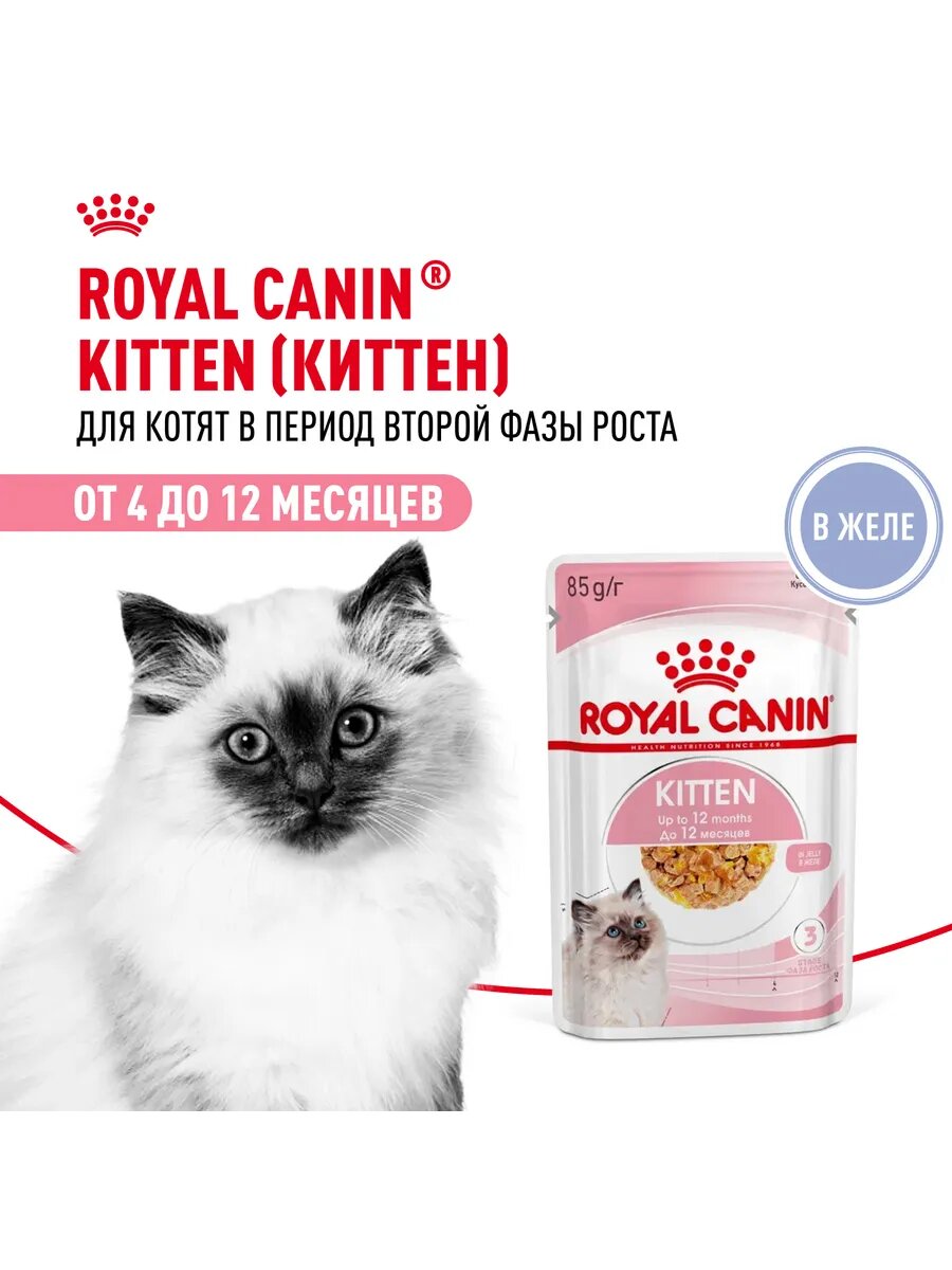 Влажный корм Royal Canin Kitten, для котят до 1 года, кусочки в желе, 12 шт