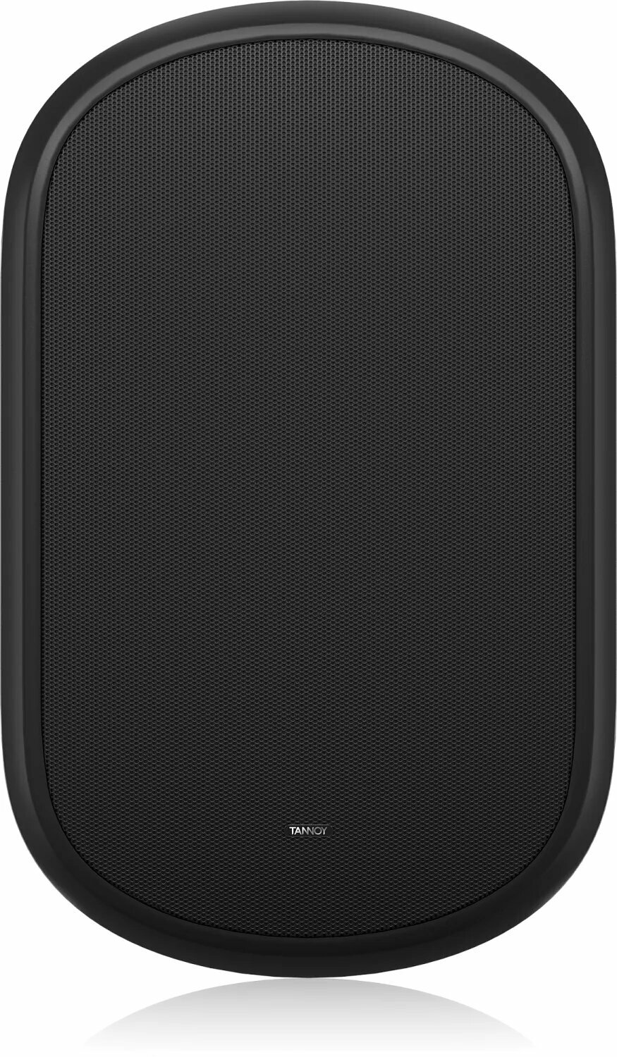 Акустическая система Tannoy DVS 801