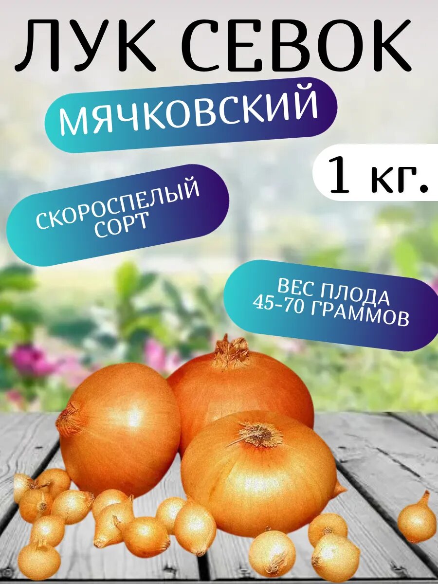 Лук севок Мячковский 1 кг