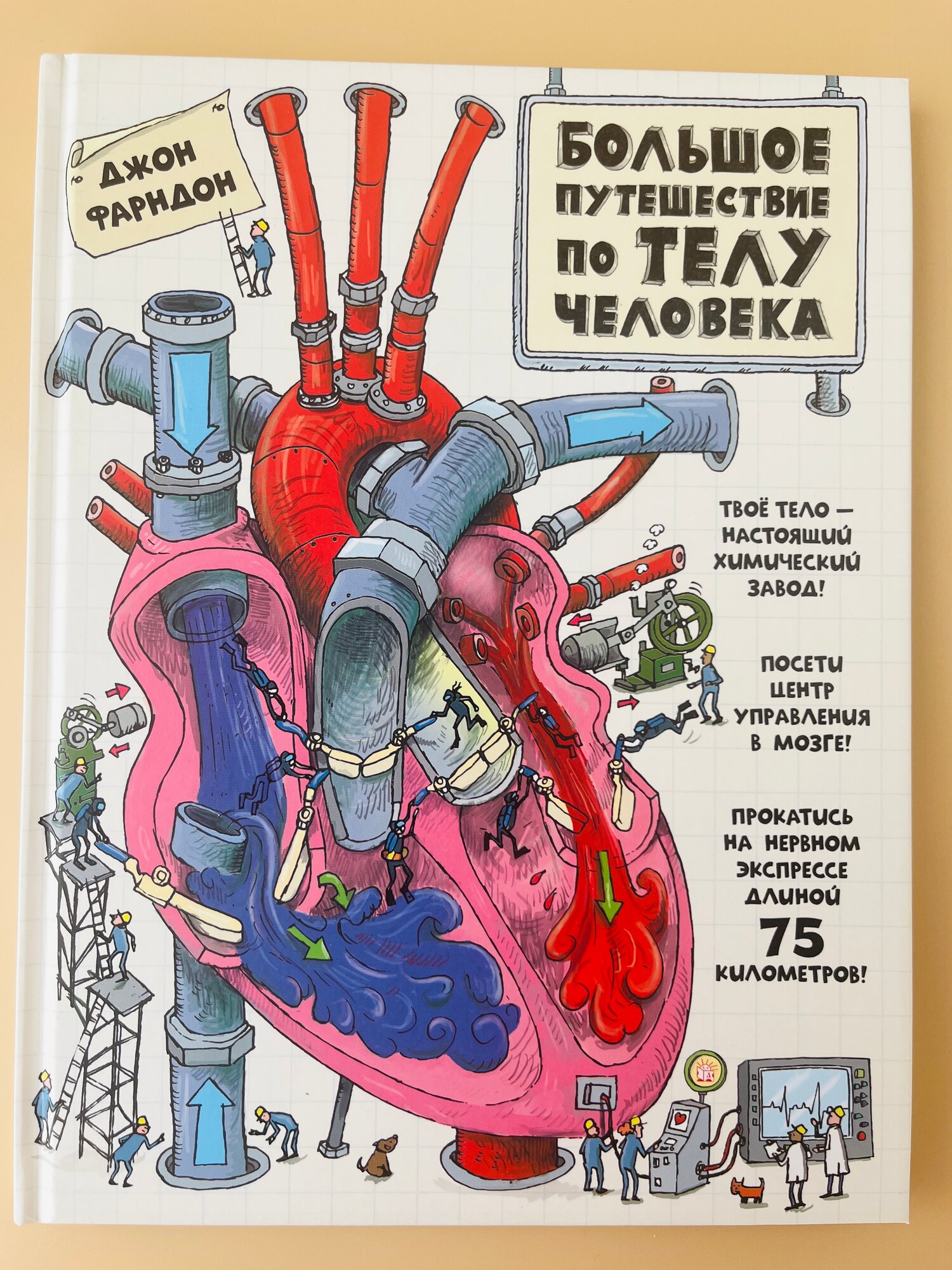 Книга Лабиринт "Большое путешествие по телу человека", автор Джон Фарндон, иллюстрации Тима Хатчинсона