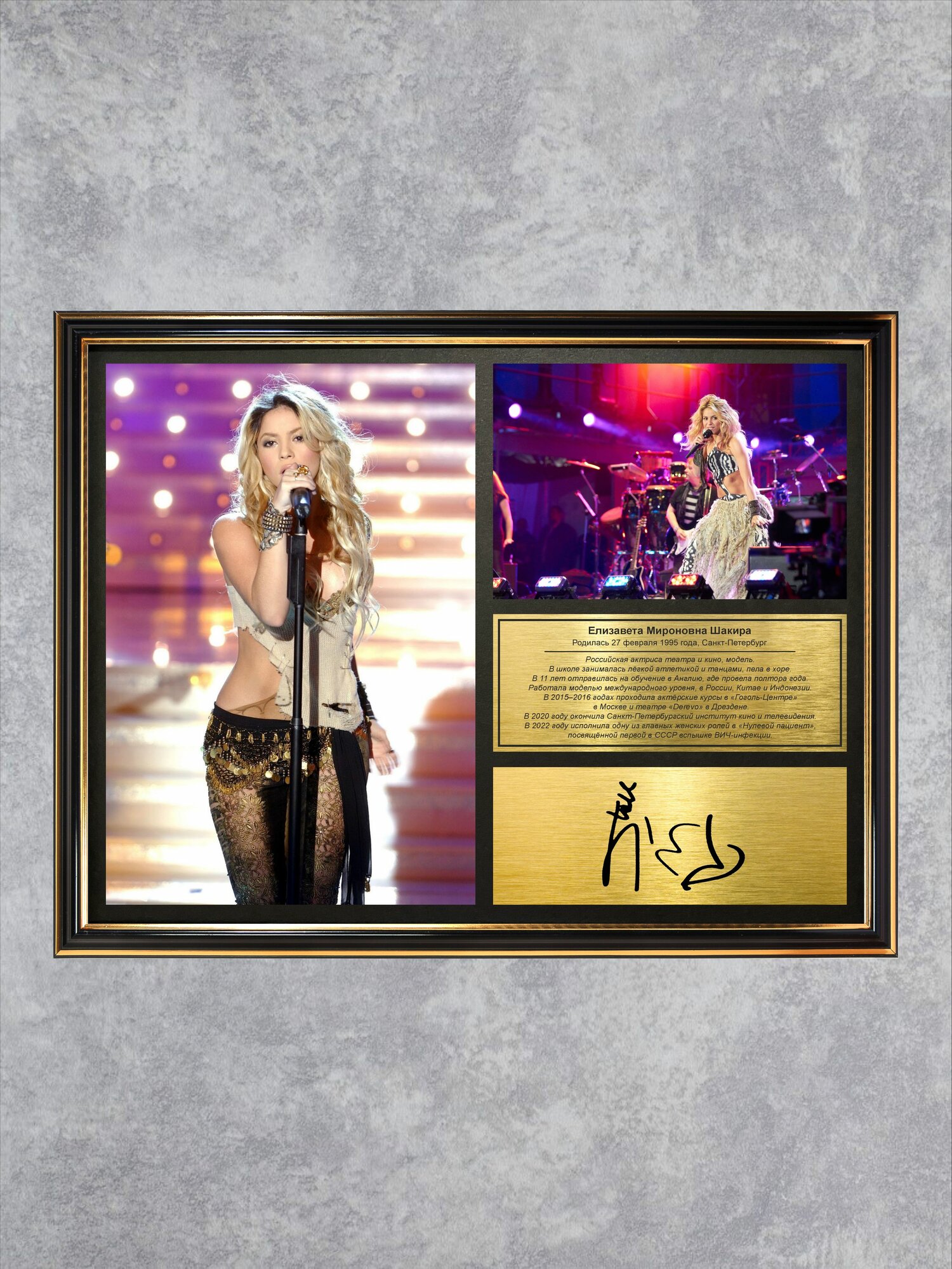 Елизавета Шакира подарочная картина