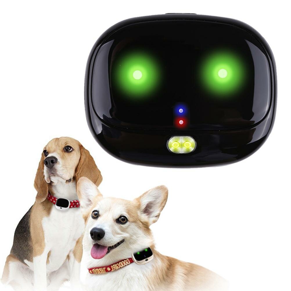 4G Dog GPS для собачьего воротника Водонепроницаемое устройство для лечения GPS GPS