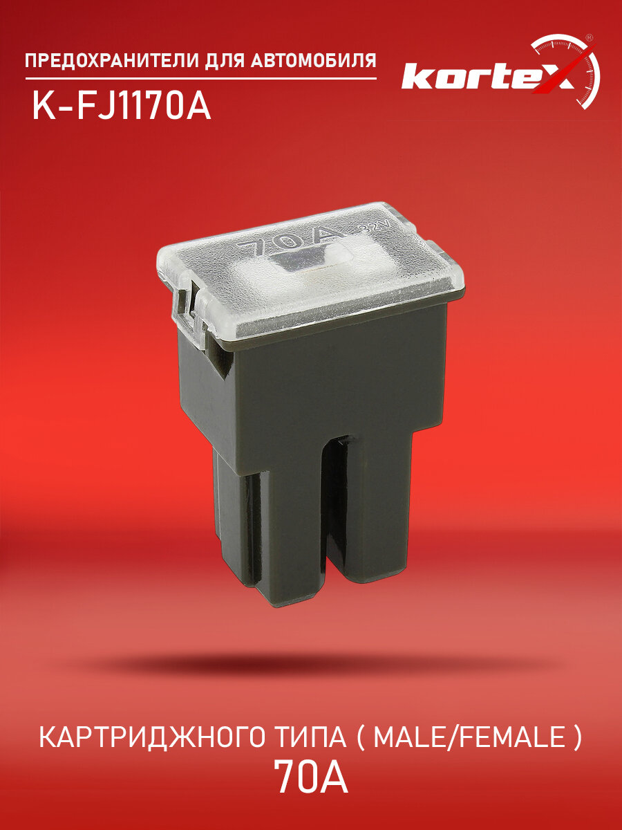 Предохранитель картриджного типа ( male/female ) 70A