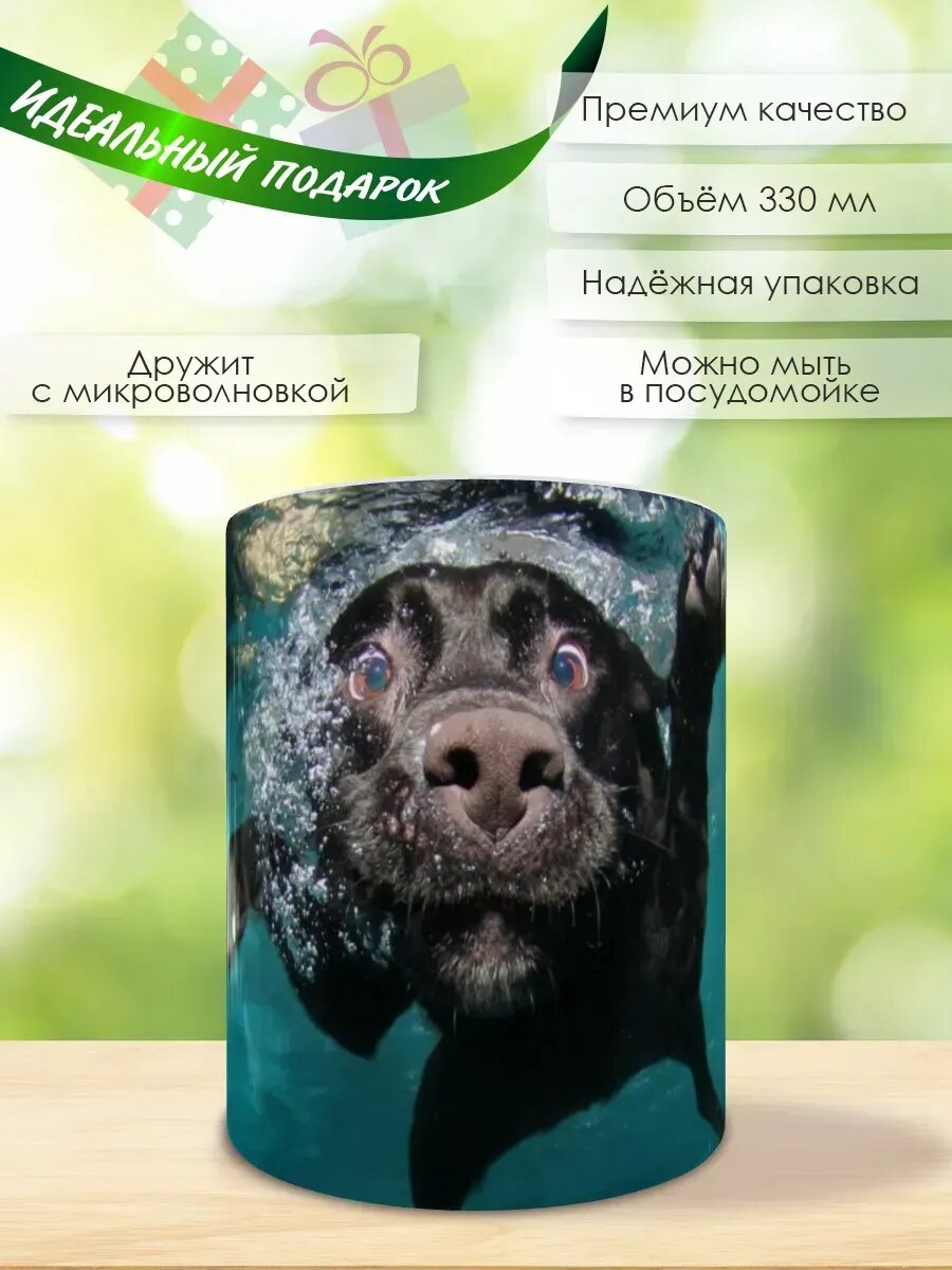 Брелок №1 и Кружка Dog underwater (англ.)