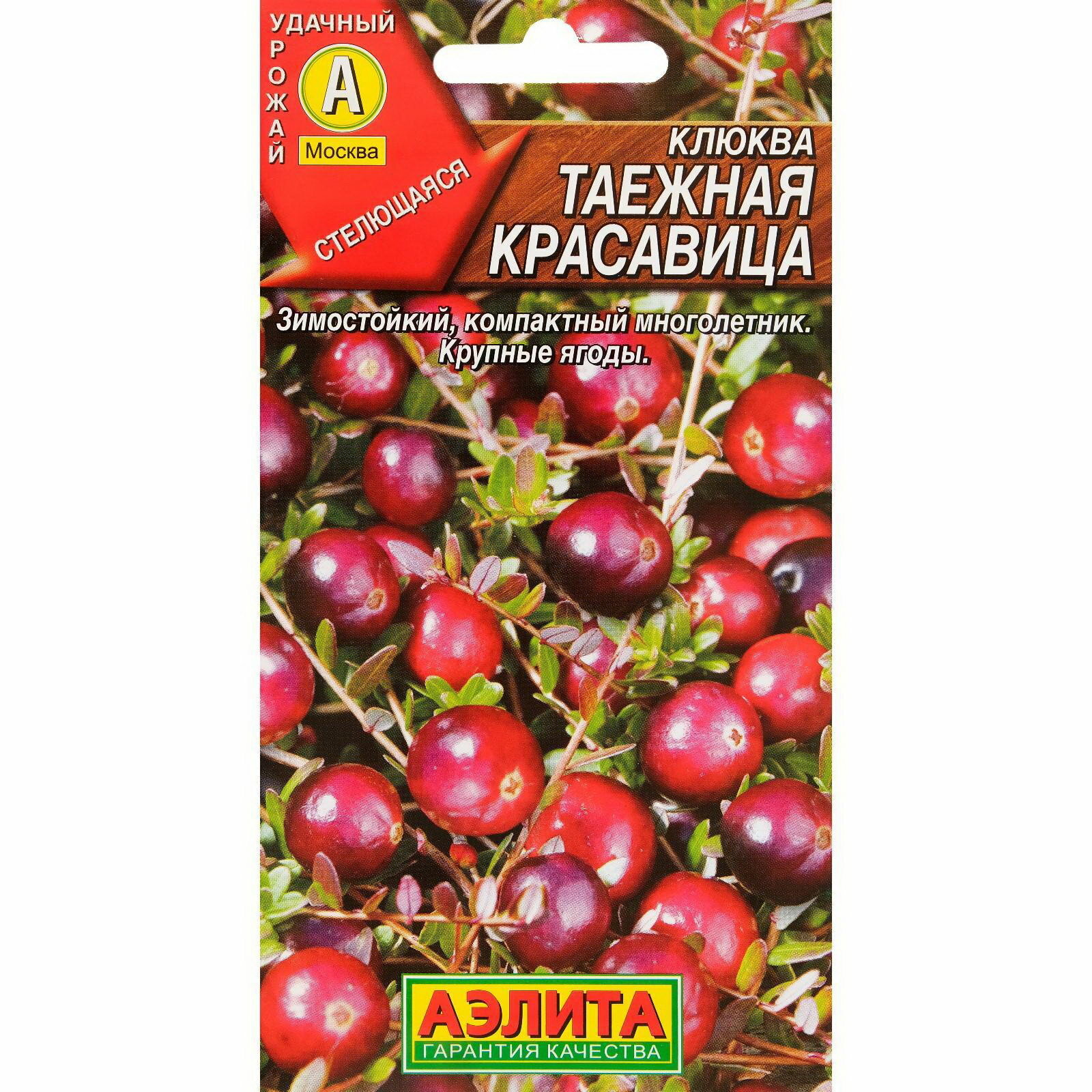 Семена Клюква крупноплодная "Таёжная красавица", 0.02 г, стелющаяся, "Аэлита"