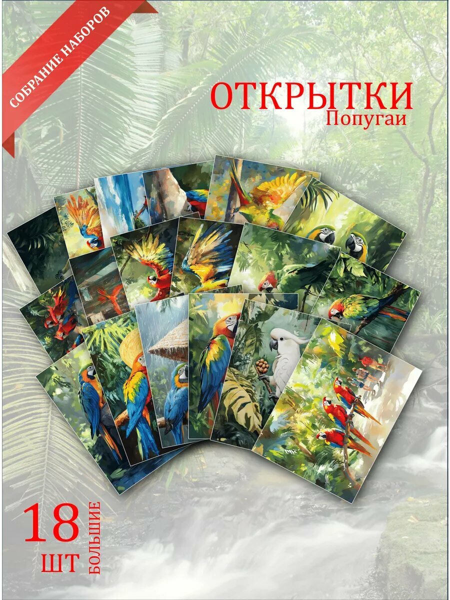 А6 Открытки пернатые попугаи Самые лучшие большие открытки формата А6 в нашем мгазине Обнимай словами