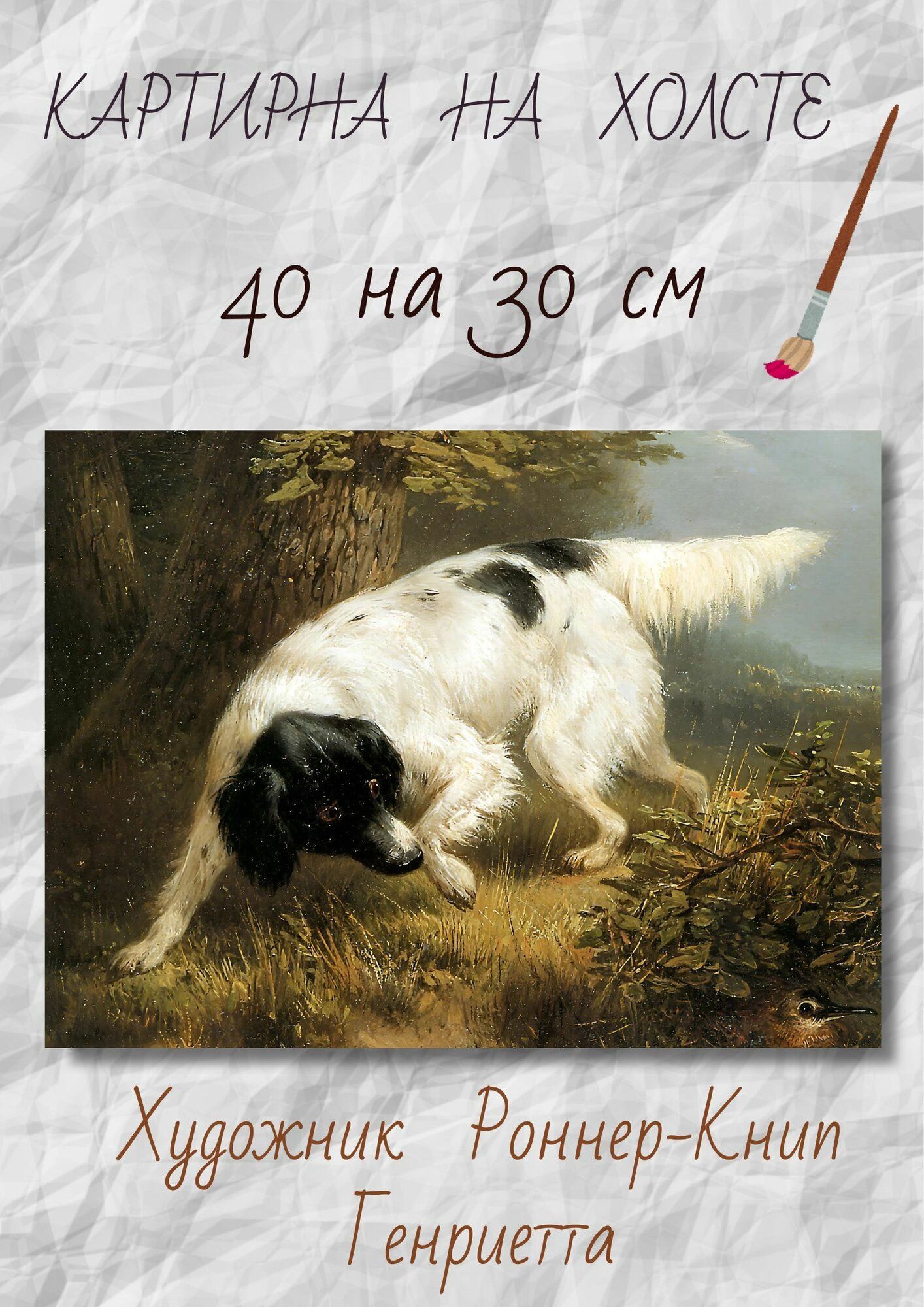 Роннер-Книп Генриетта "Охотничий пёс находит вальдшнепа". Картина на холсте 30х40 см репродукция