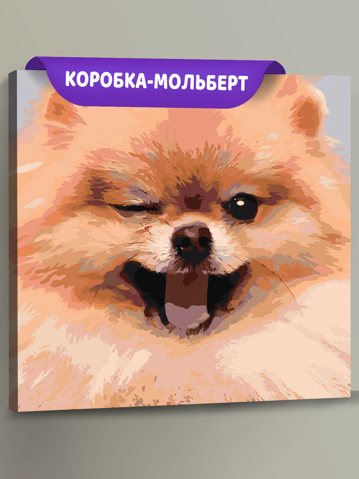 Картина по номерам на холсте с подрамником "Собаки: Шпиц милый щенок" Раскраска 40x40 см, Животные Портреты