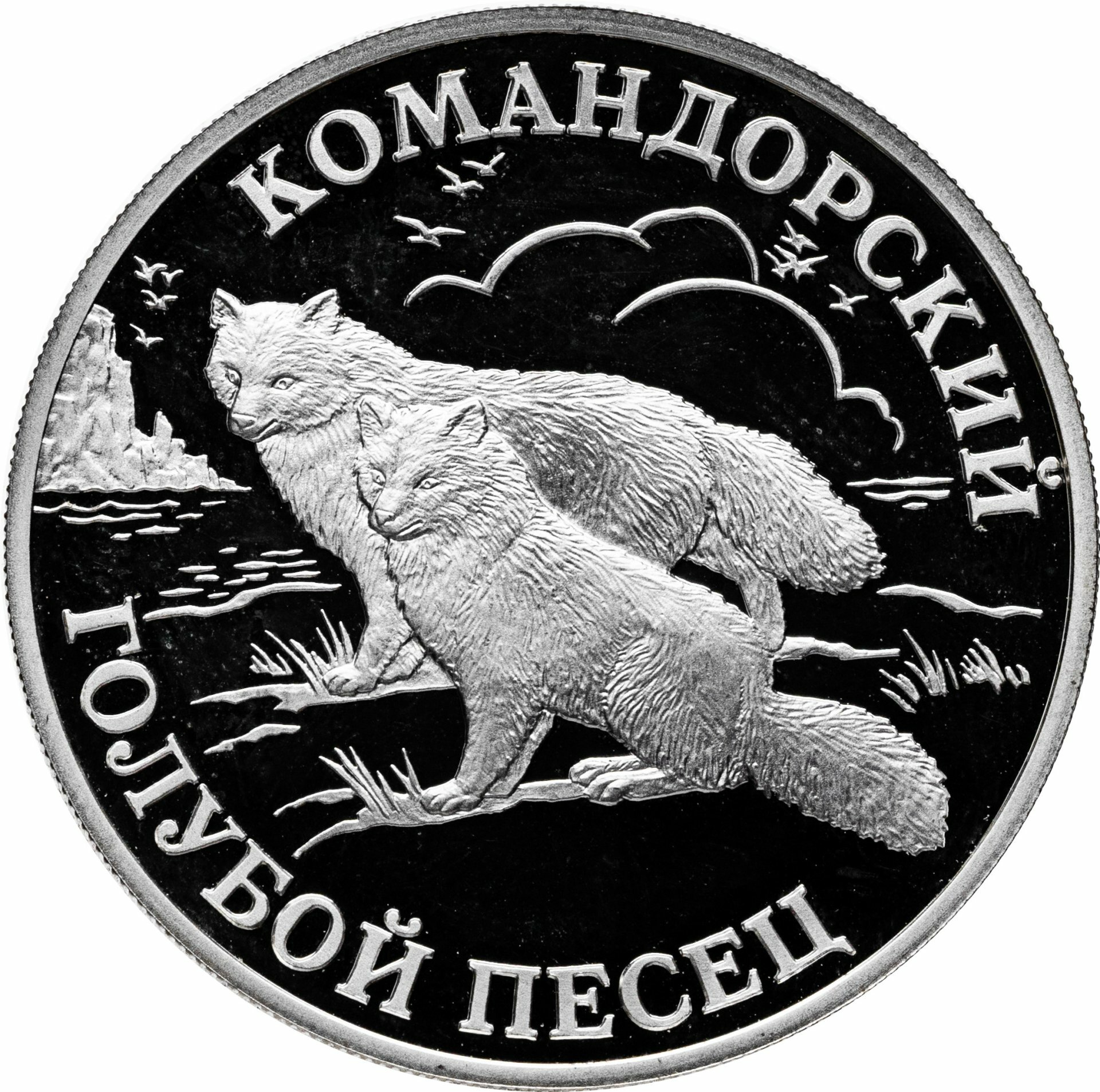 1 рубль 2003 СПМД Proof "Красная книга: командорский голубой песец" в капсуле, Серебро 900