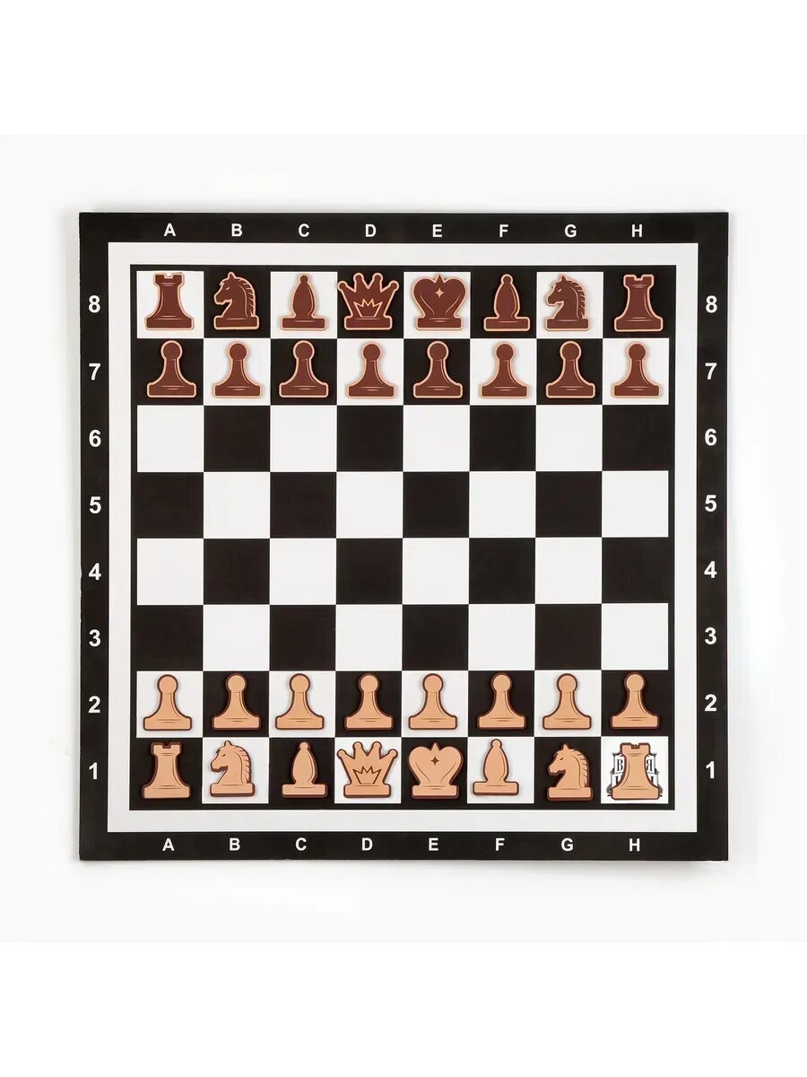 Демонстрационные шахматы на магнитной доске