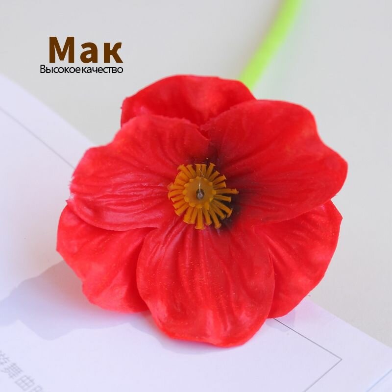 Стабилизированные цветы, мак, 32 см, 10 штук