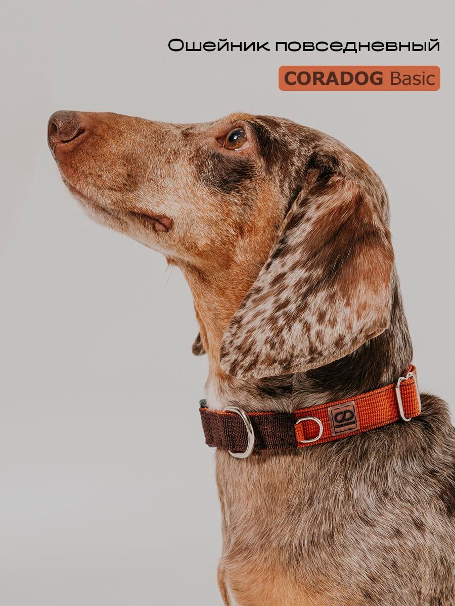 Ошейник повседневный, CORADOG Basic, для маленьких собак, терракотовый, коричневый, размер S 29-44 см
