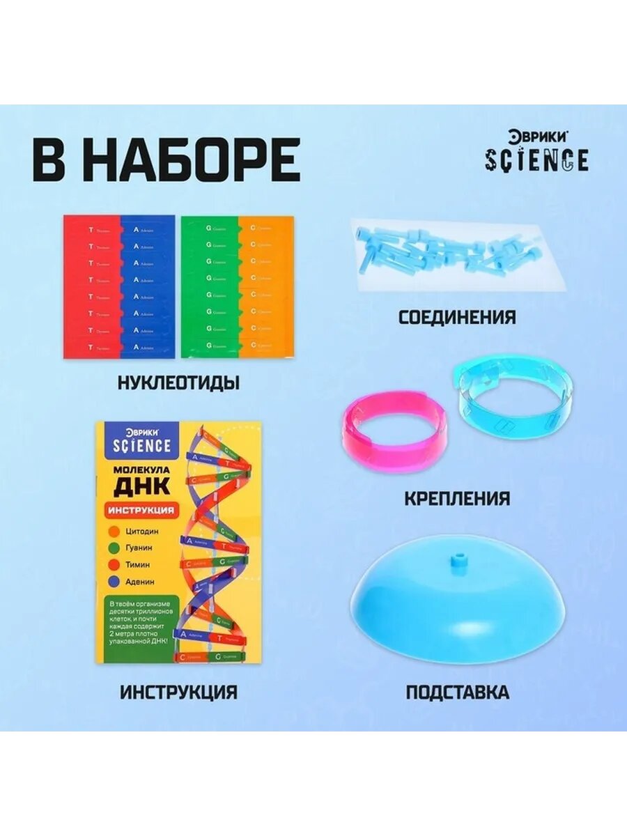 Обучающий набор для моделирования ДНК