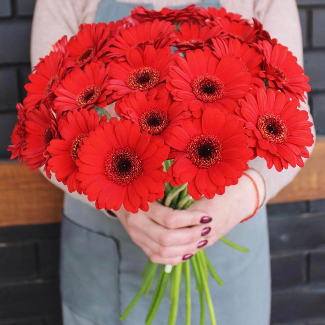 Букет из красных гербер 19 шт, красивый букет цветов, шикарный, премиум цветы, премиум букет