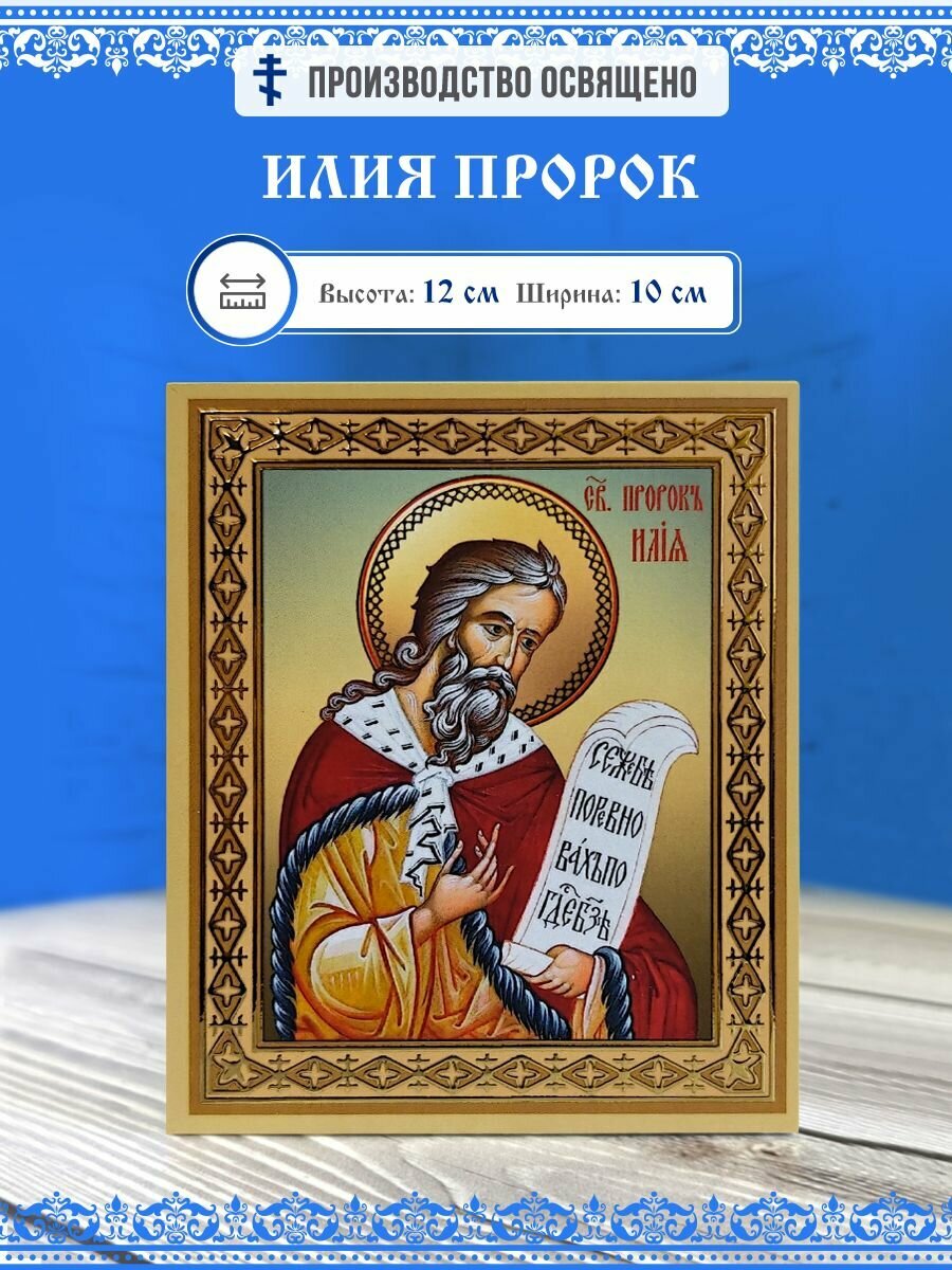 Икона Илия (Илья) Фесвитянин, Пророк 10х12см