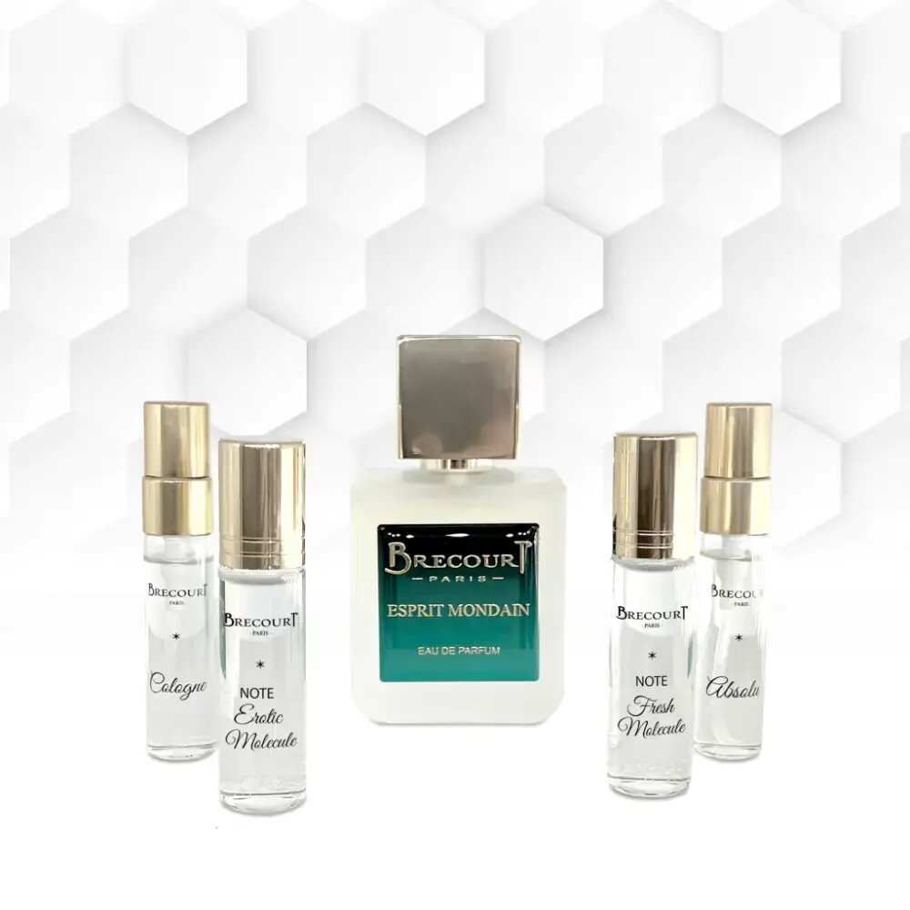 Brecourt Esprit Mondain 100 мл + 24 мл, Парфюмерная вода мужская