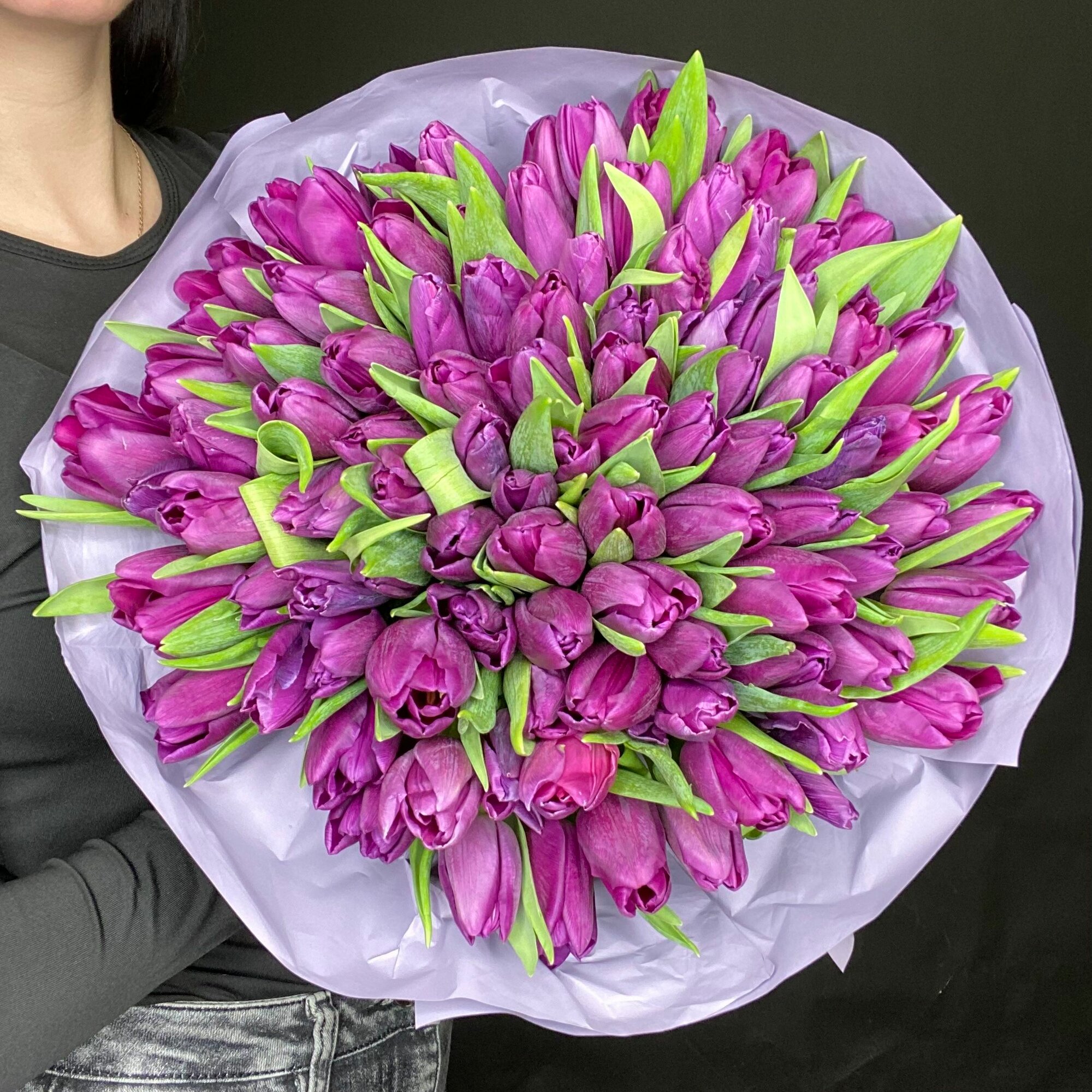 Фиолетовый тюльпан