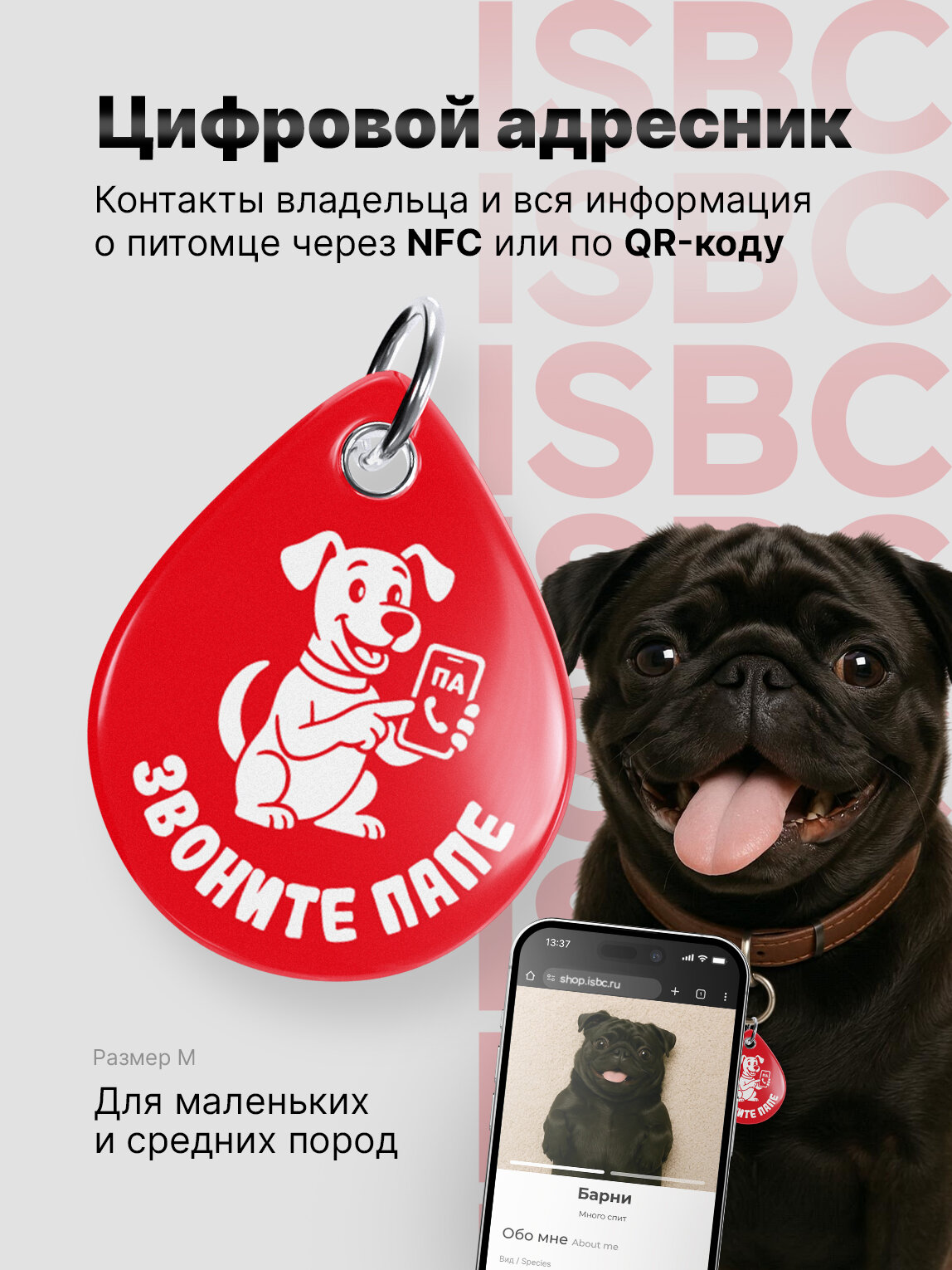 Цифровой Адресник для собак от ISBC с NFC и QR-кодом, Звоните папе, красный