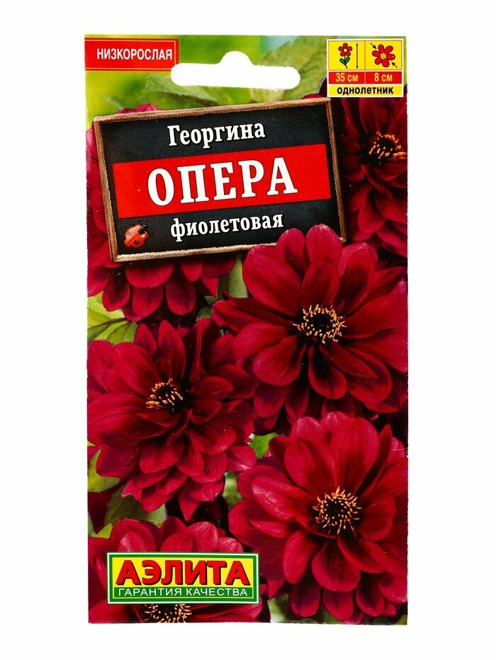 Семена цветов Георгина Опера фиолетовая, Ц/П,7 шт. 10945447