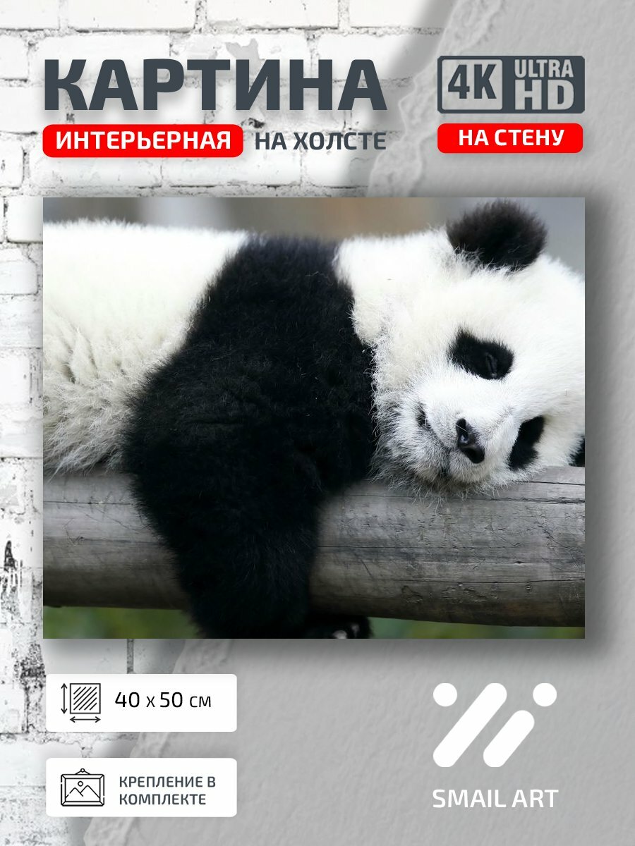 Картина на холсте интерьерная 40 на 50 на стену Медвежонок Mood для офиса атмосфера декор