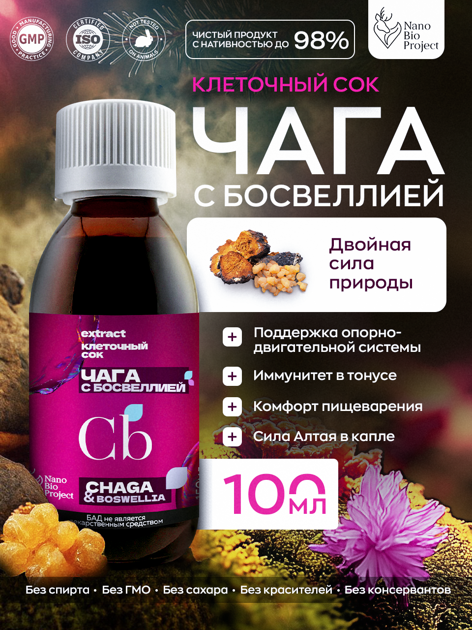 Экстракт Чаги с босвеллией 100 мл NanoBioProject / НаноБиоПроект
