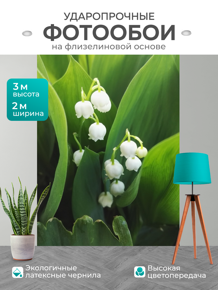 Фотообои моющиеся ударопрочные "Ландыши, цветы, белый" 200x300 см. флизелиновые на стену