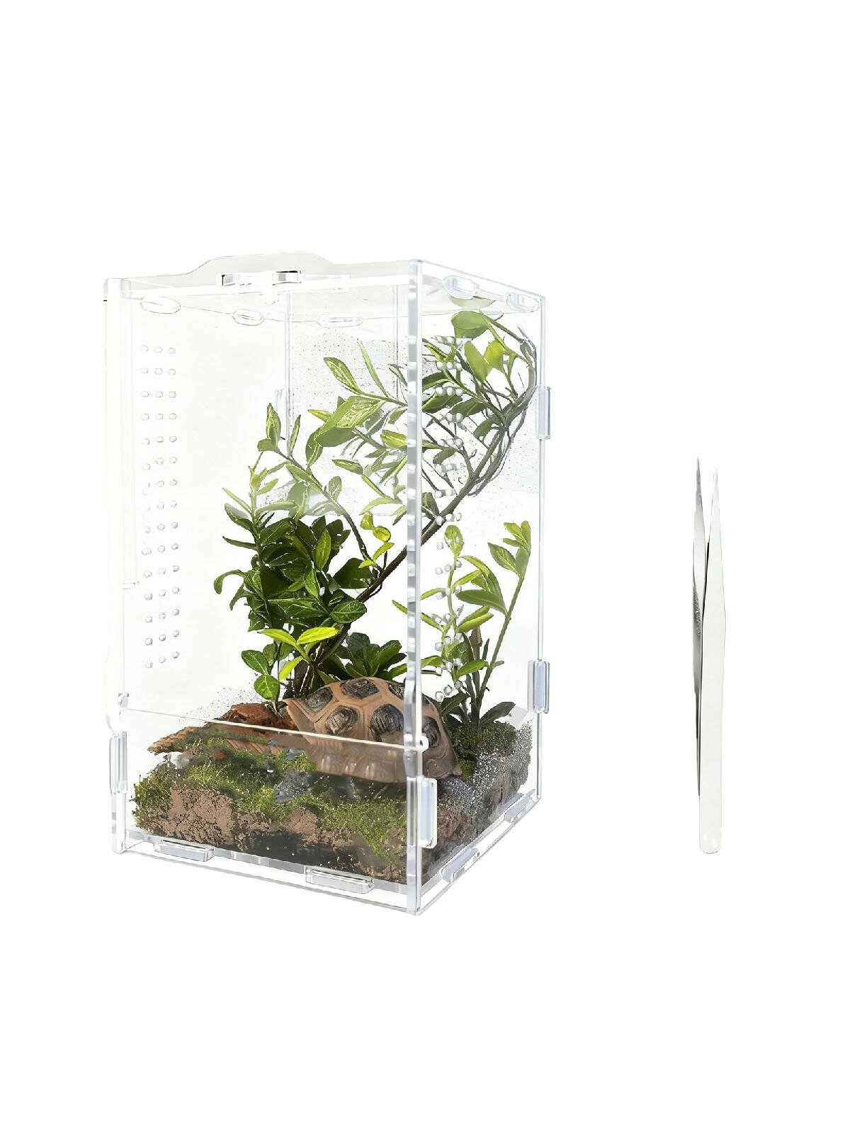 Акриловые террариумы для обитания прыгающих пауков, вольеры для рептилий, Богомолы