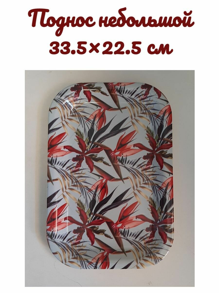 Поднос Бест Транс Сервис "Фантазийный", полипропилен, универсальный, прямоугольный, 33,5х22,5 см