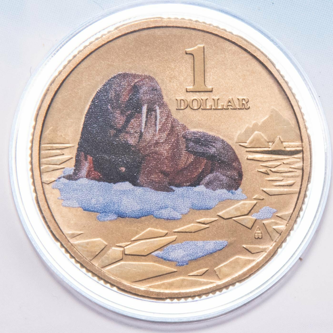 Австралия 1 доллар 2013 "Полярные животные-морж", Алюминиевая бронза, в сохранности UNC