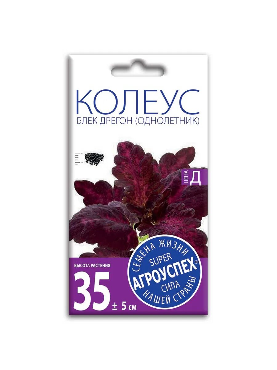 Колеус Блек Дрегон 10шт