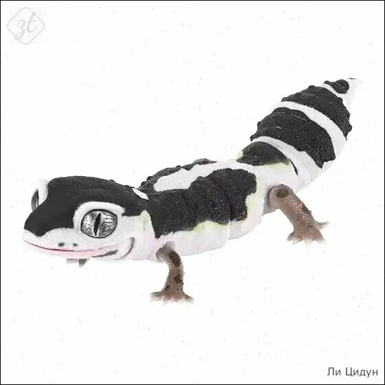 Украшения для аквариума с ящерицами