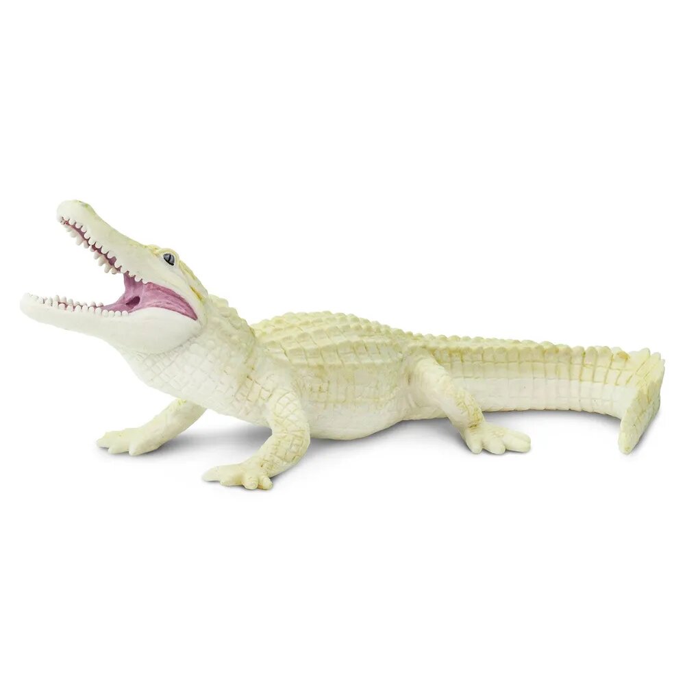 Фигурка животного Safari Ltd Американский аллигатор-альбинос, для детей, игрушка коллекционная, 291929