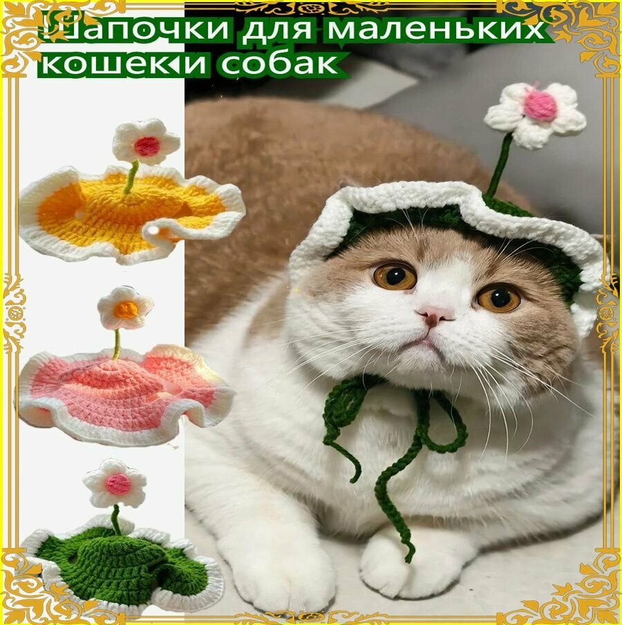 Вязаные шапочки для кошек и собак