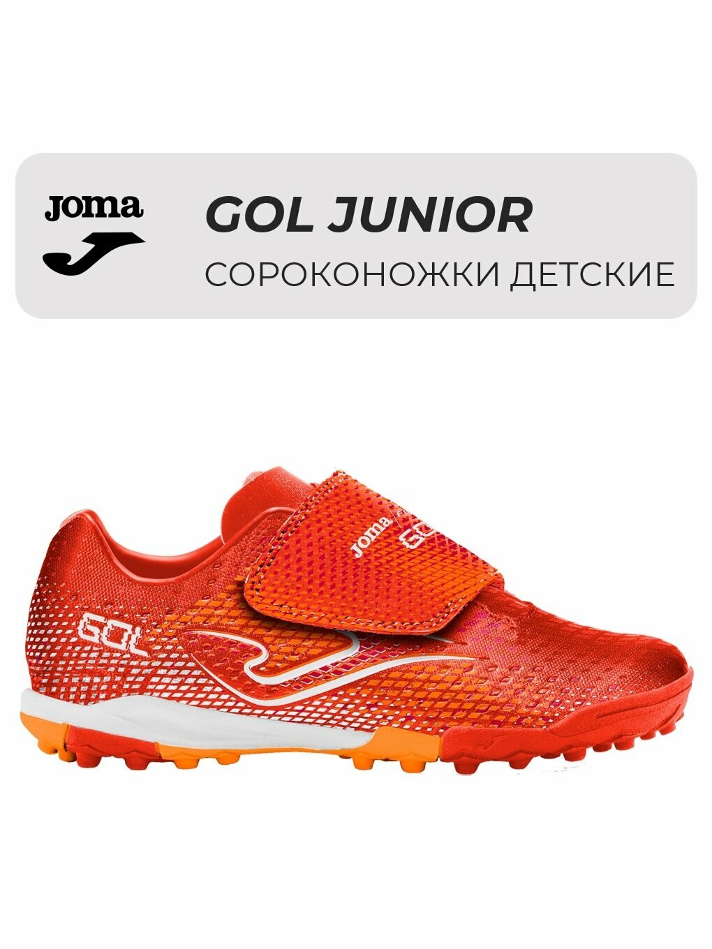Сороконожки