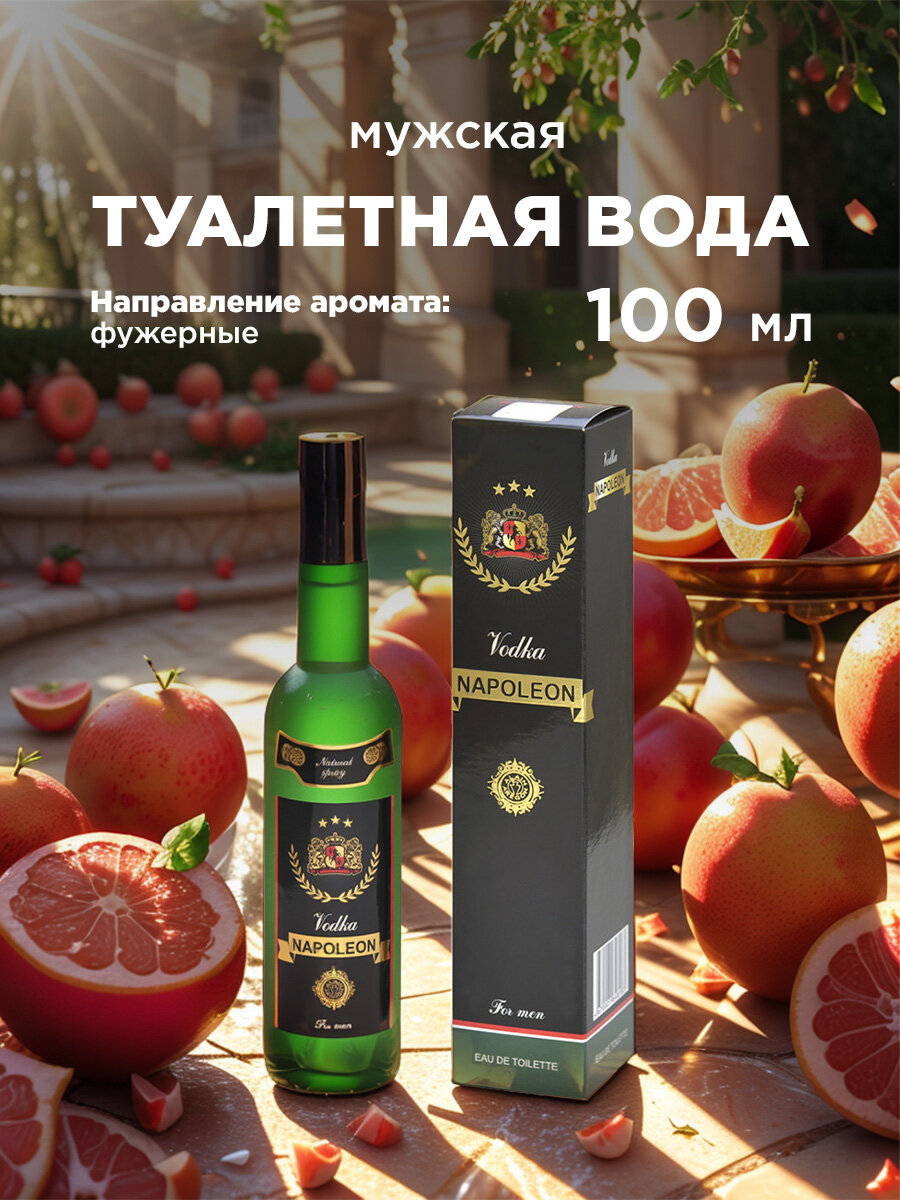 Туалетная вода мужская Alain Aregon фужерный аромат Vodka Napoleon 100мл